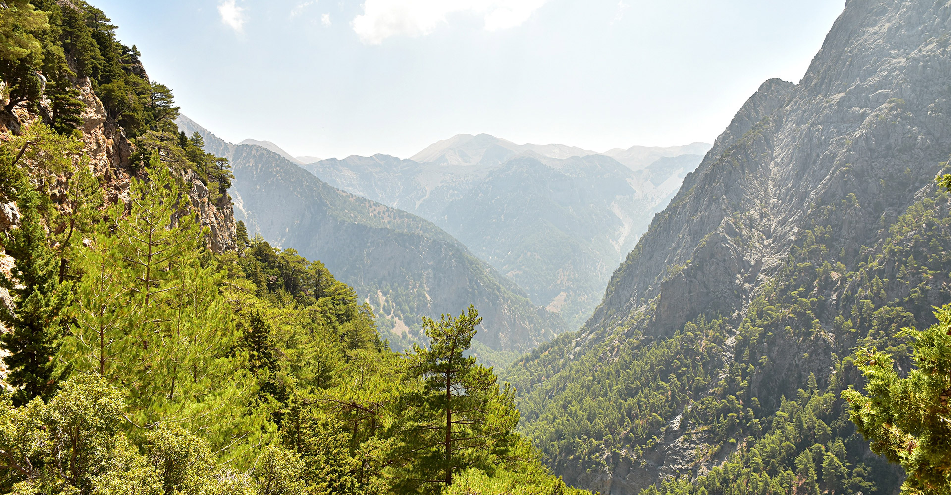 Gallery - Caldera Beach